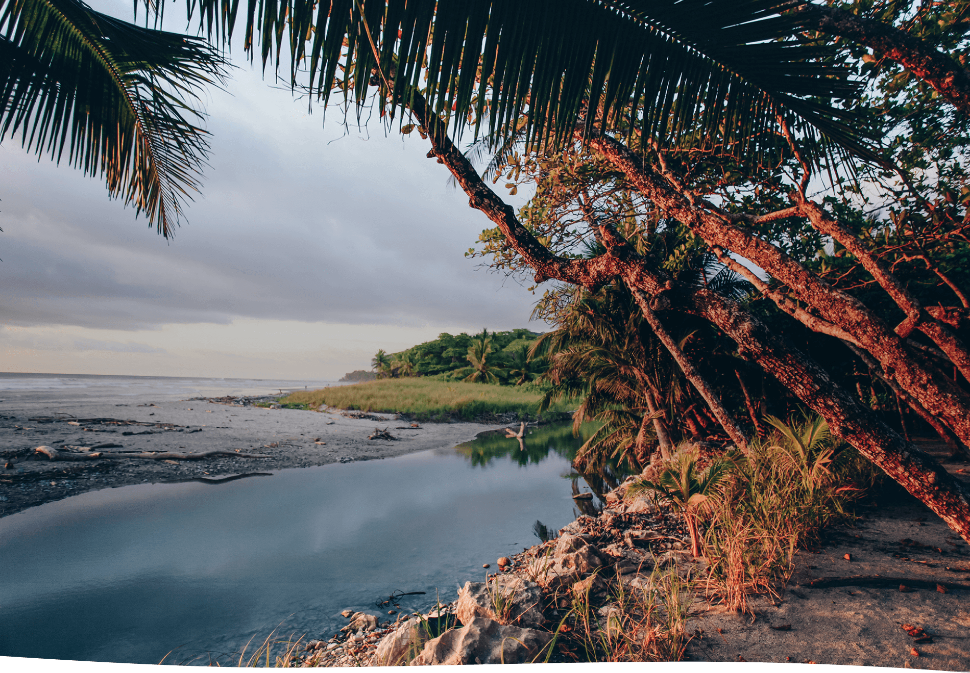 Get Involved ~ Nicoya Peninsula Waterkeeper ~ NGO in Costa Rica