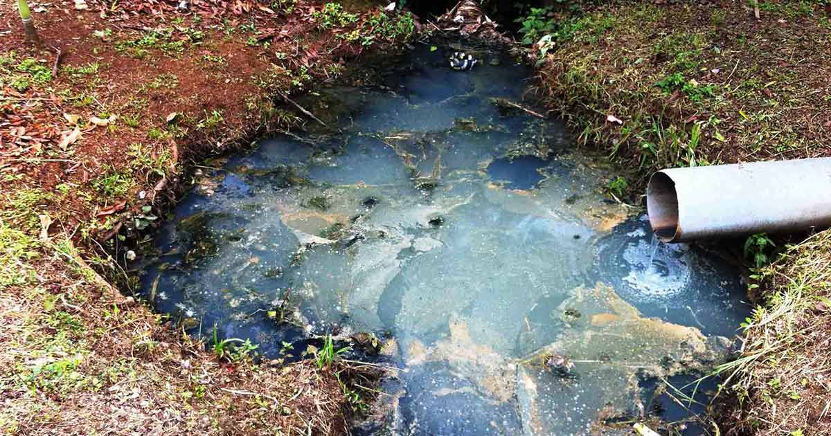 Why Are We Here | Nicoya Península Waterkeeper